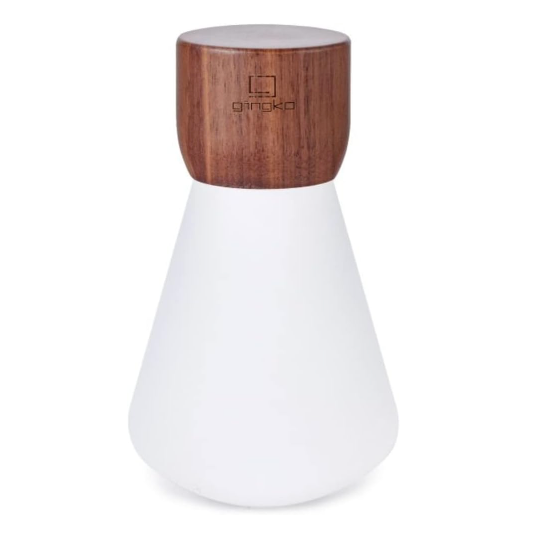 Gingko Pentagon Colour Changing LED Dimmable Touch Lamp – Plum Retail